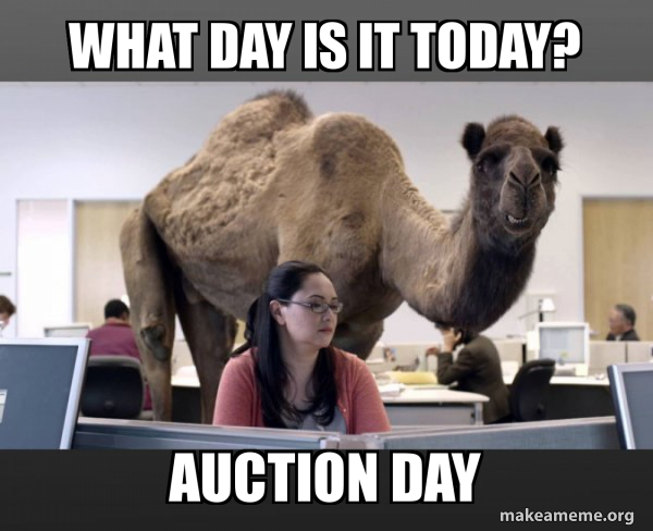 What Day Is IT Today? Auction Day - Hump Day Camel Meme Generator