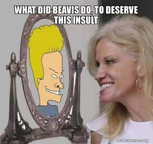 What did Beavis do, to deserve this insult Meme Generator
