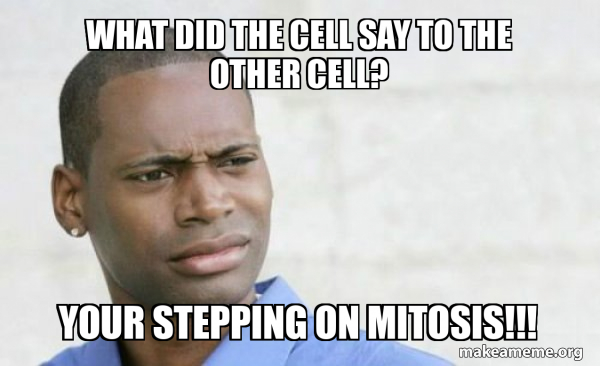 what did the cell say to the other cell? your stepping on mitosis ...