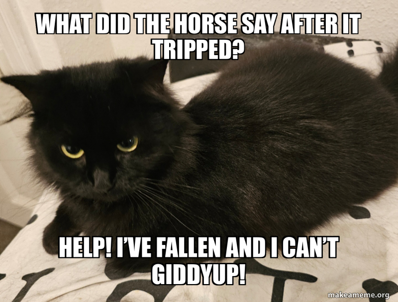 What did the horse say after it tripped? Help! I’ve fallen and I can’t ...