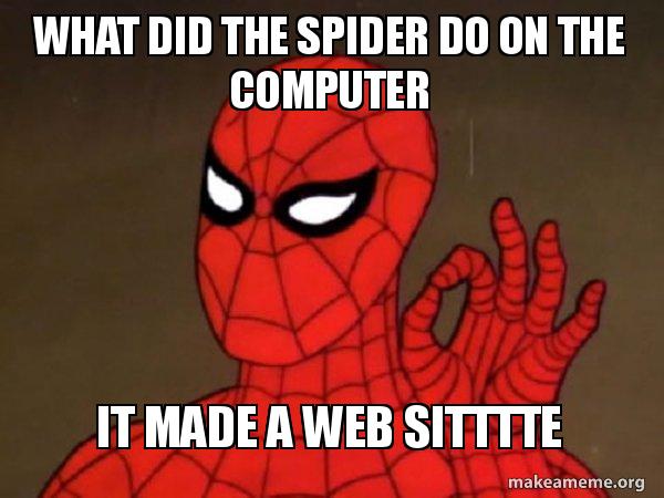 what did the spider do on the computer it made a web sitttte ...