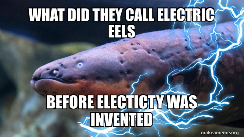 what did they call electric eels before electicty was invented Meme Generator