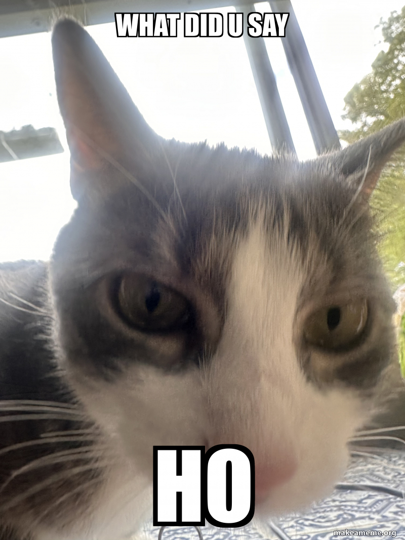 what did u say Ho Meme Generator
