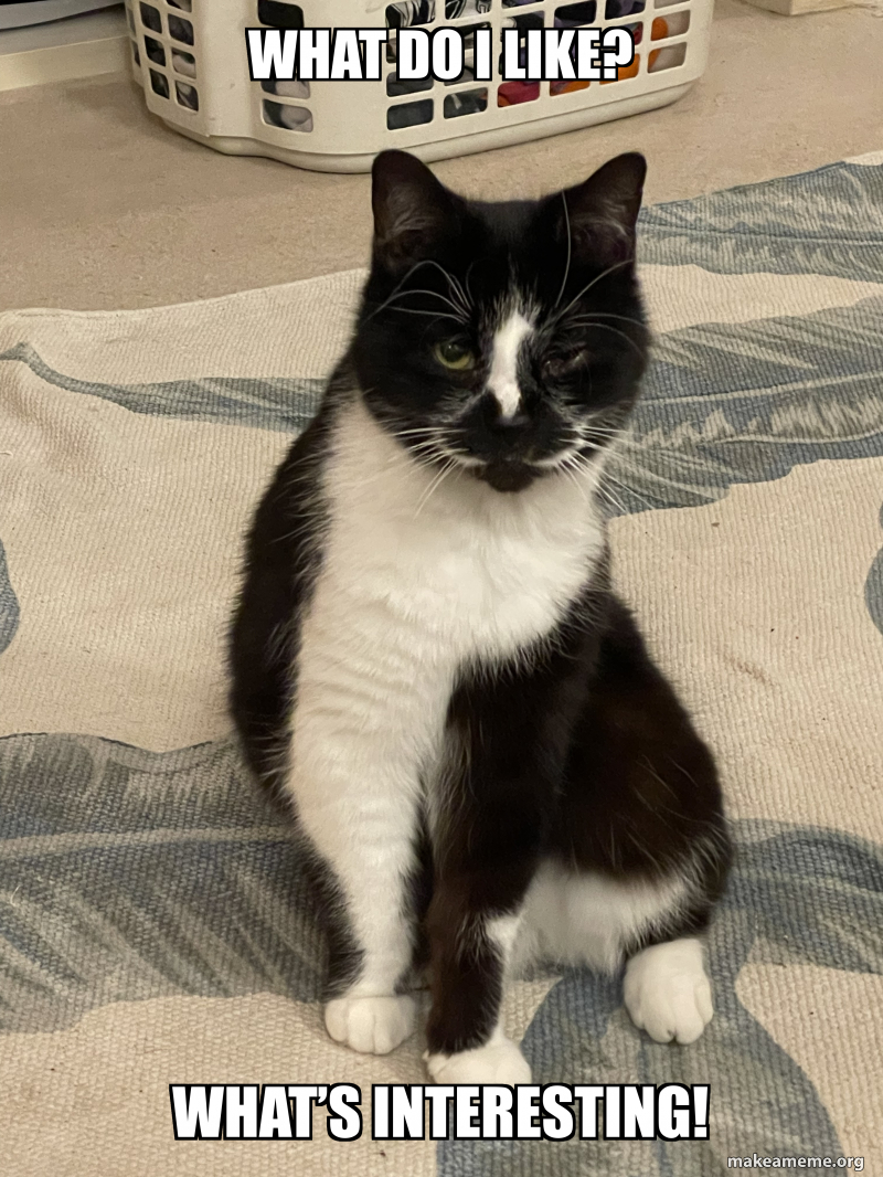 What do i like? What’s Interesting! - Cat not knowing Meme Generator