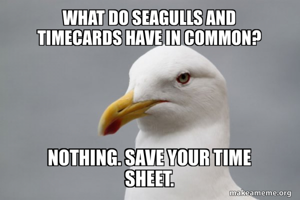 What do seagulls and timecards have in common? Nothing. Save your time ...