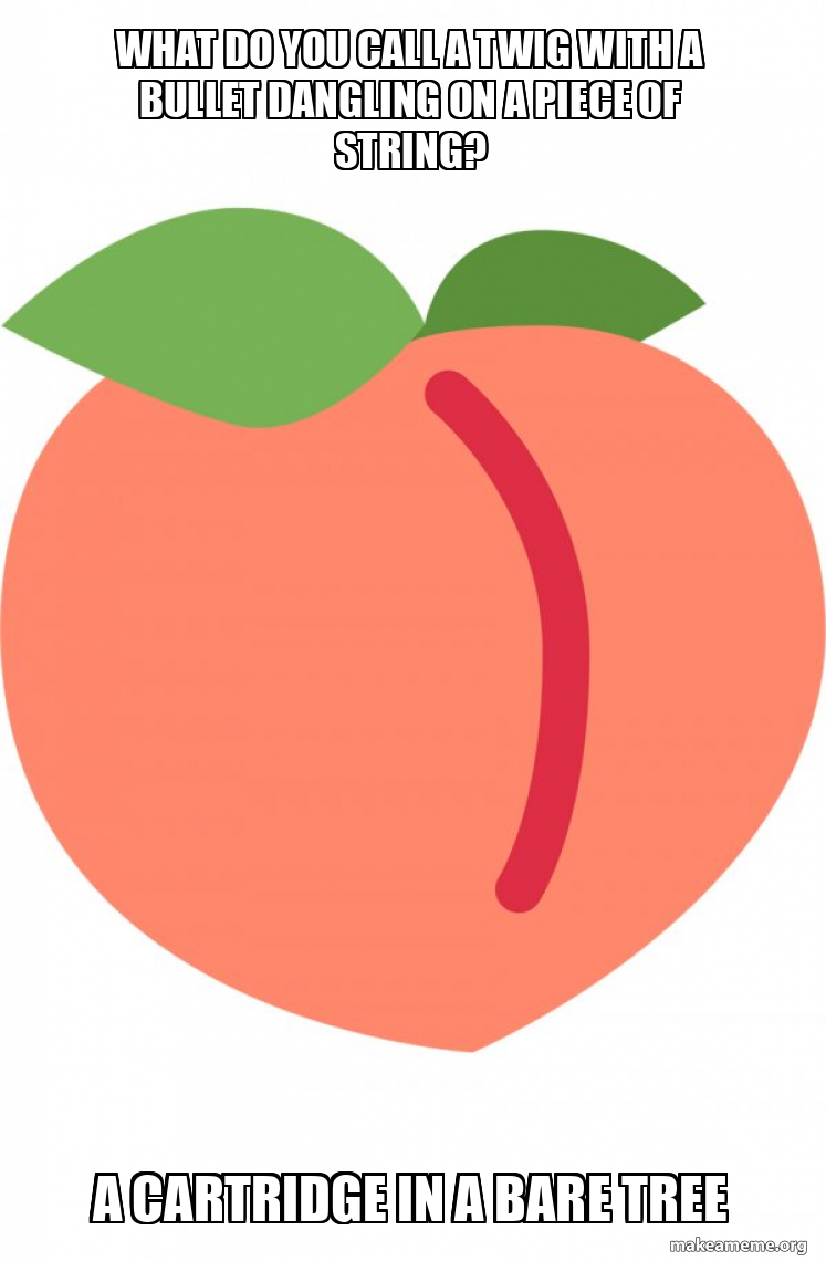 What do you call a twig with a bullet dangling on a piece of string? A ...