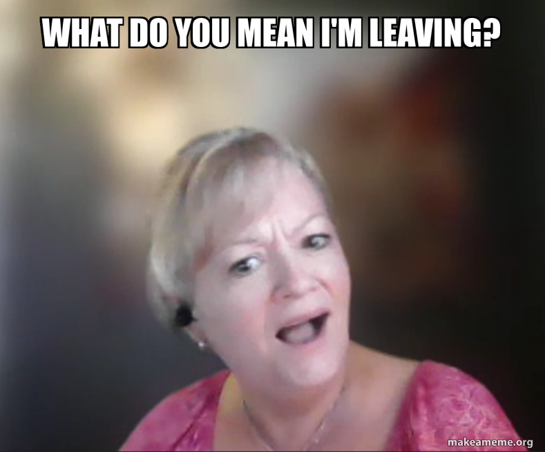 What do you mean I'm leaving? Meme Generator