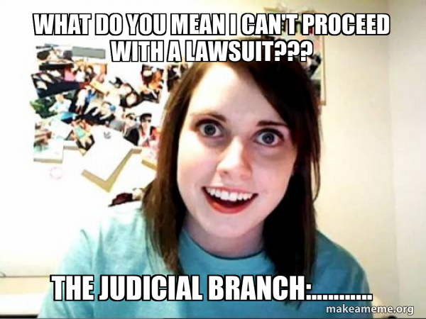 WHAT DO YOU MEAN I CAN'T PROCEED WITH A LAWSUIT??? The Judicial Branch ...