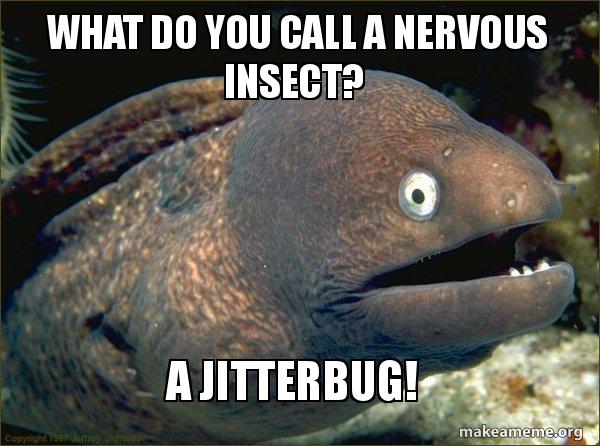 What do you call a nervous insect? A jitterbug! - Bad Joke Eel Meme ...