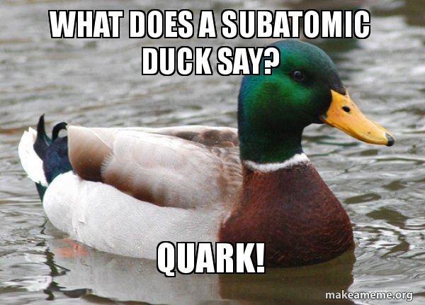 What does a subatomic duck say? Quark! - Actual Advice Mallard Meme ...