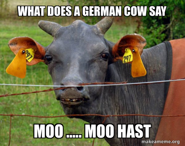 What does a German Cow say Moo ..... Moo Hast - Hairless Cow Meme Generator