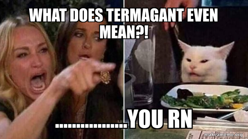 What does termagant even mean?! .................You rn Meme Generator