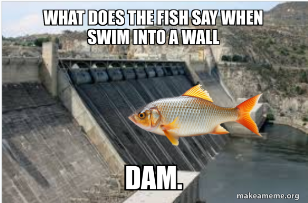 what does the fish say when swim into a wall dam. Meme Generator