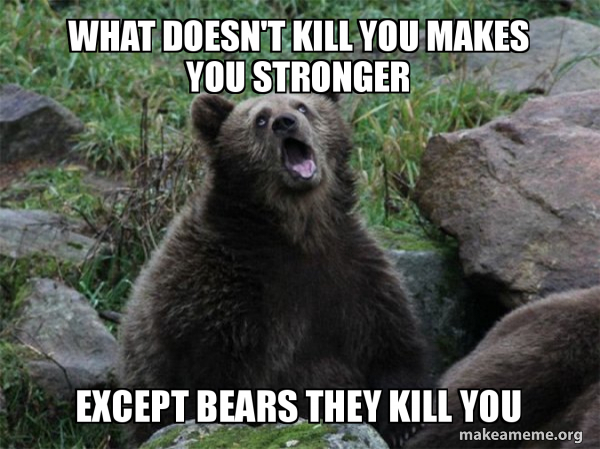 what doesn't kill you makes you stronger except bears they kill you ...