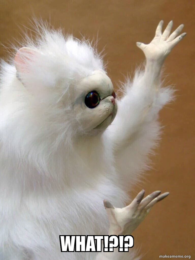 What!?!? Meme Generator