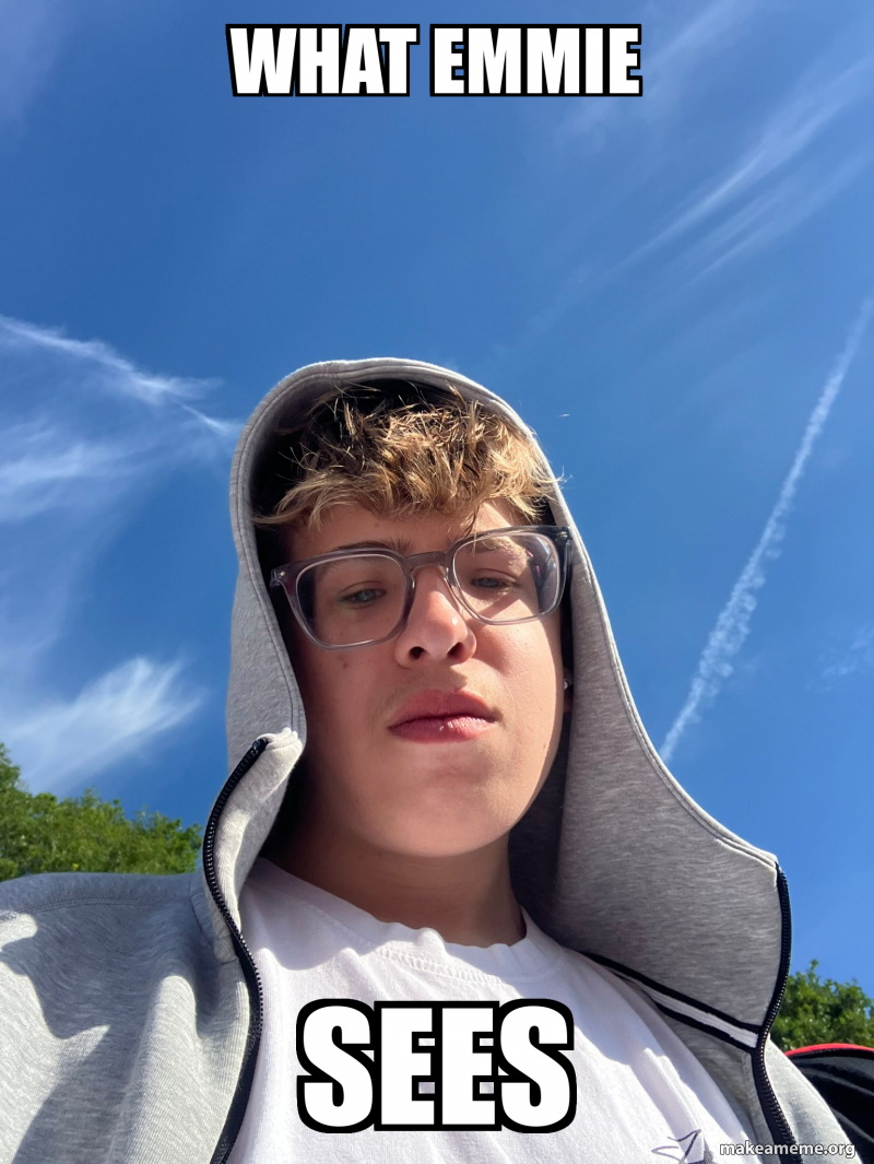 WHAT EMMIE Sees Meme Generator