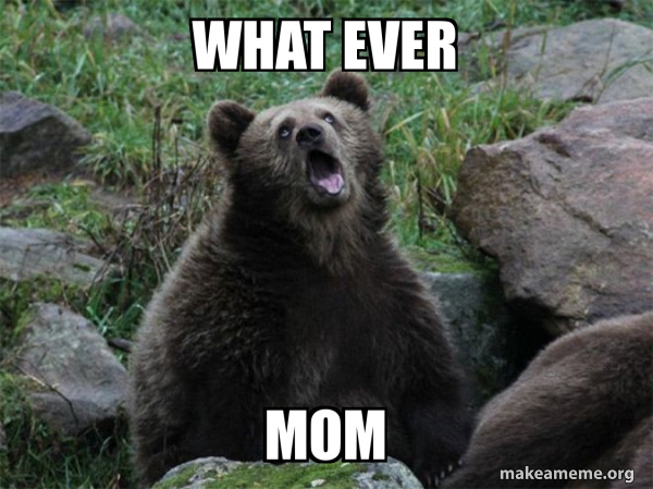what ever MOM - Sarcastic Bear Meme Generator