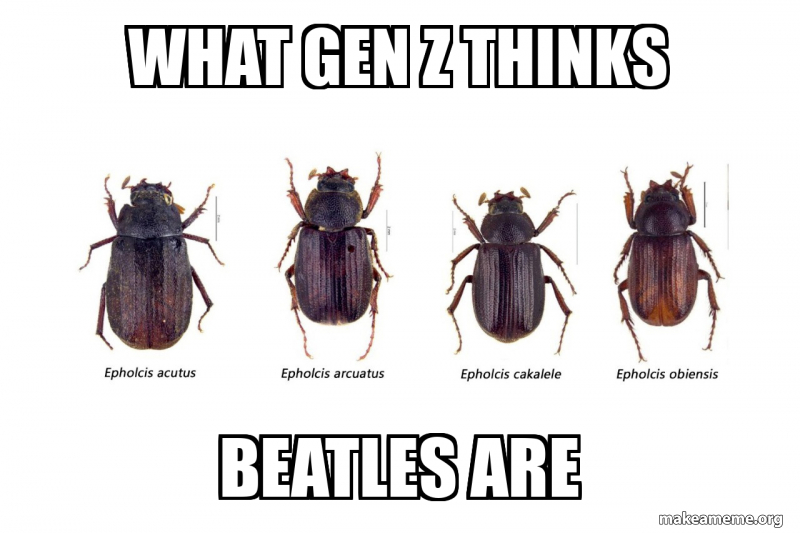 what gen z thinks beatles are Meme Generator