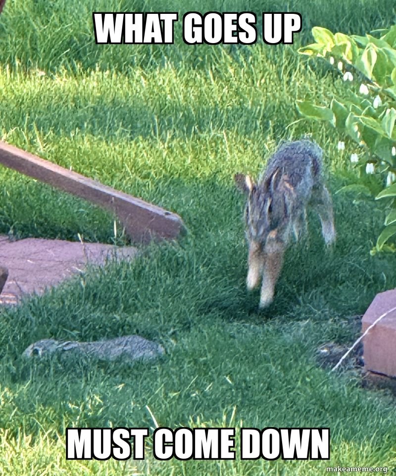 What goes up Must come down Meme Generator