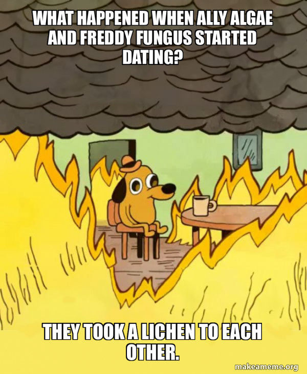What happened when Ally Algae and Freddy Fungus started dating? They ...