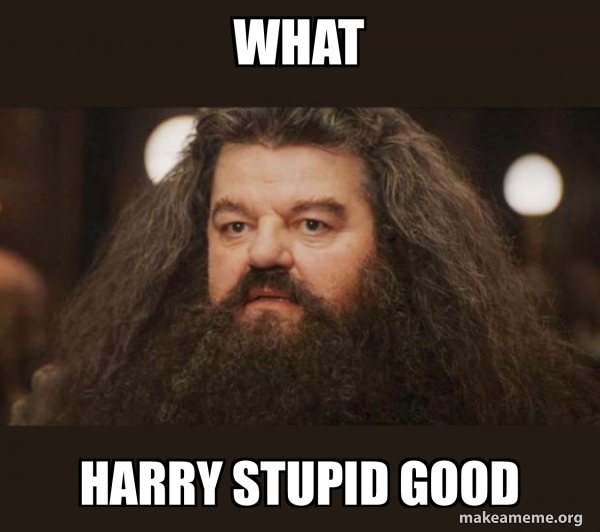What Harry stupid good - Hagrid - I should not have said that Meme ...