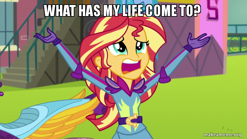 What has my life come to? Meme Generator