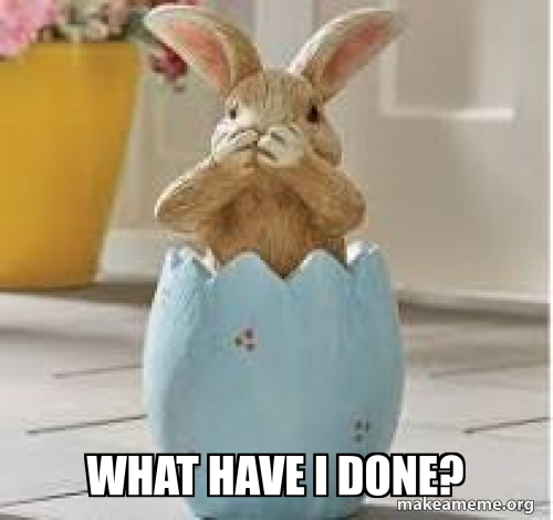 WHAT HAVE I DONE? Meme Generator