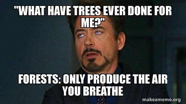 "WHAT HAVE TREES EVER DONE FOR ME?" FORESTS: ONLY PRODUCE THE AIR YOU ...