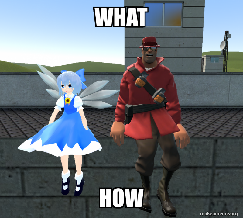 WHAT HOW Meme Generator