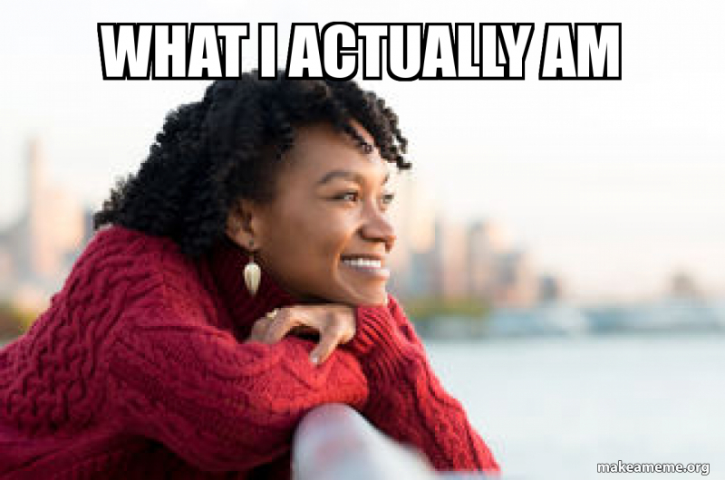 what I actually am Meme Generator