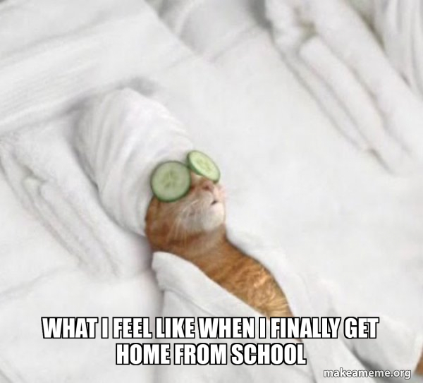 what i feel like when i finally get home from school - Pampered Cat ...