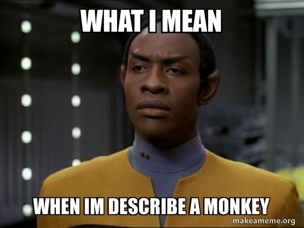 What I mean when im describe a monkey - Skeptical Vulcan Meme Generator
