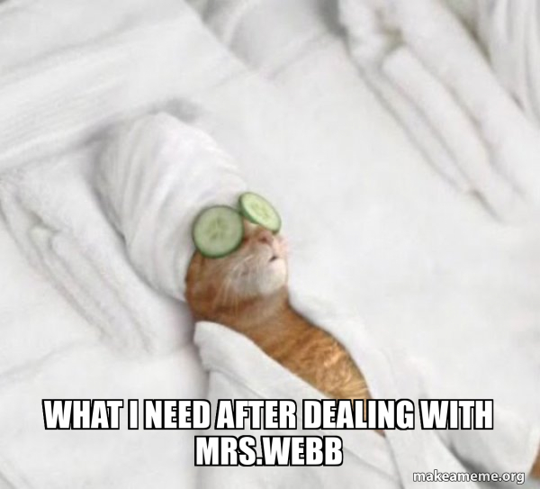 What i need after dealing with Mrs.Webb - Pampered Cat Meme Meme Generator