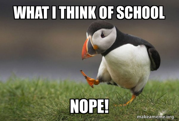 what I think of school NOPE! - Unpopular Opinion Puffin Meme Generator