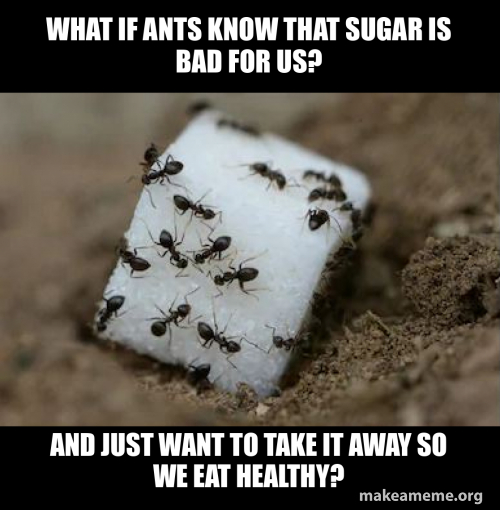 What if ants know that sugar is bad for us? And just want to take it ...