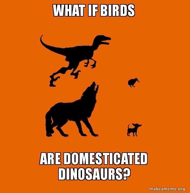 What if birds are domesticated dinosaurs? Meme Generator