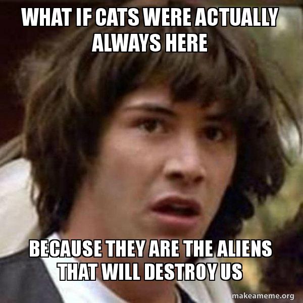 What if cats were actually always here Because they are the aliens that ...