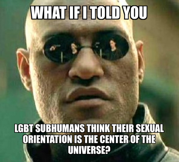 What if I told you LGBT SUBHUMANS THINK THEIR SEXUAL ORIENTATION IS THE ...