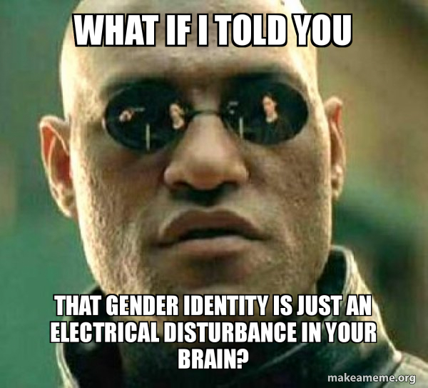 What if I told you that gender identity is just an electrical ...