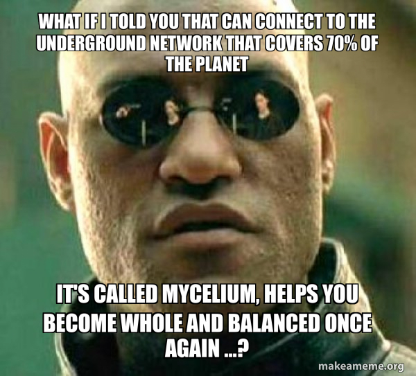 What if I told you that can connect to the underground network that ...
