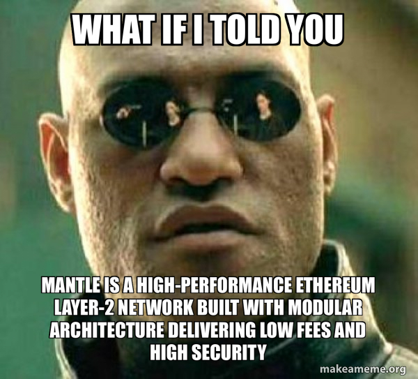 What if I told you Mantle is a high-performance Ethereum layer-2 ...