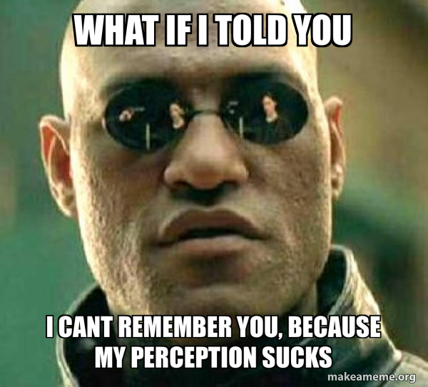 What if I told you I cant remember you, because my perception sucks ...