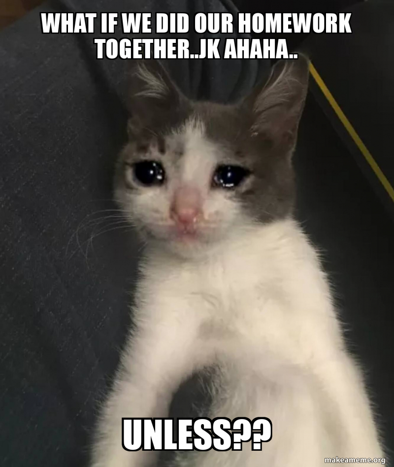 what if we did our homework together..jk ahaha.. unless?? Meme Generator