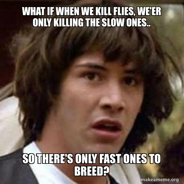 What if when we kill flies, we'er only killing the slow ones.. So there ...