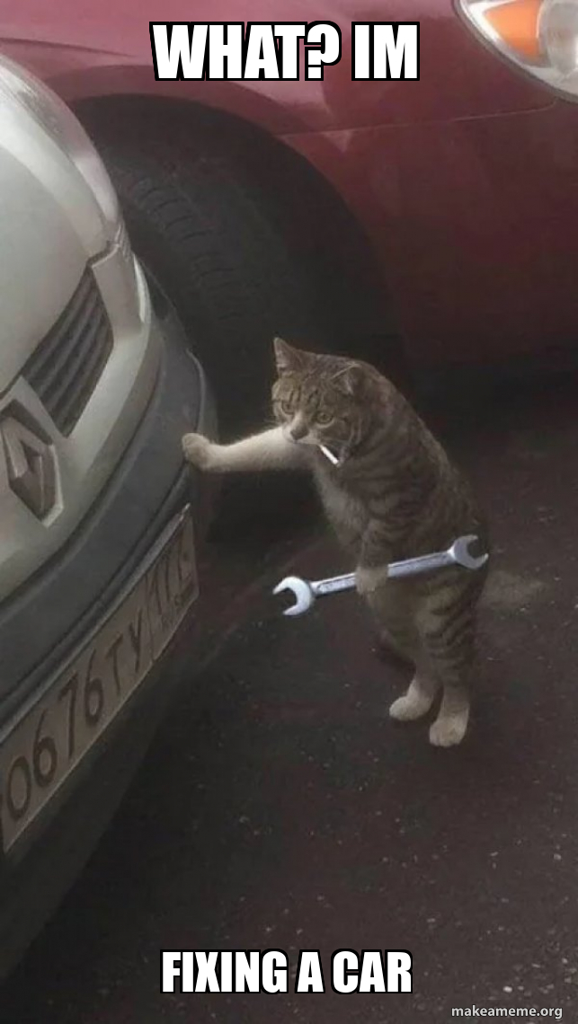 what? im fixing a car - Mechanic Cat Meme Generator