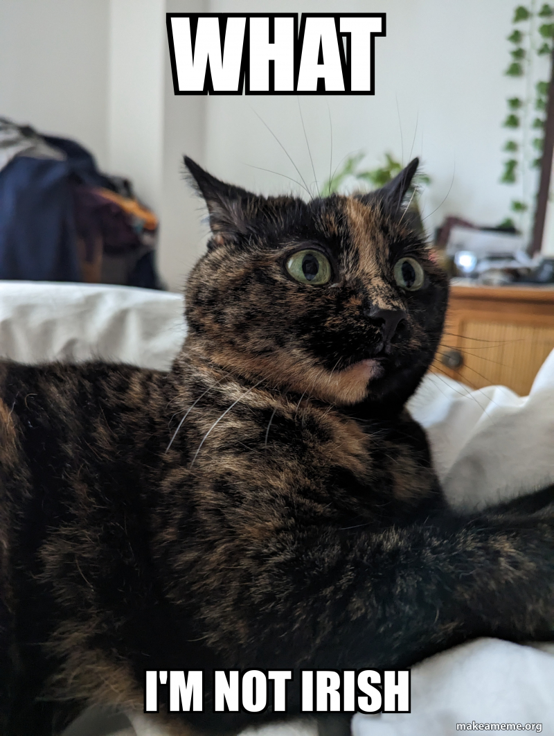 What I'm not Irish Meme Generator