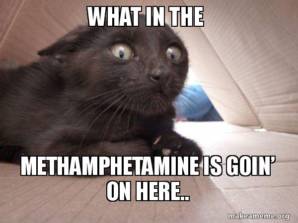 Meth Cat Memes