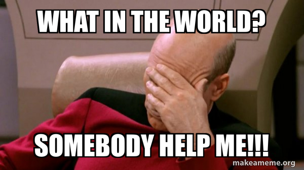 What In The World? Somebody Help Me!!! - Picard Facepalm Meme Generator
