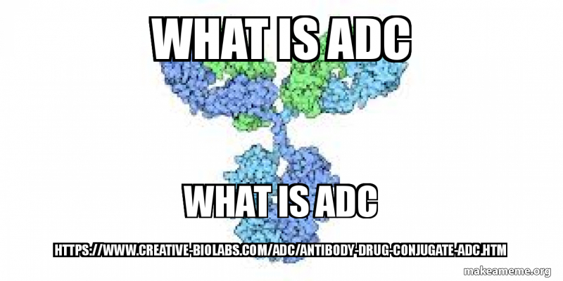 what is adc what is adc https://www.creative-biolabs.com/adc/antibody ...