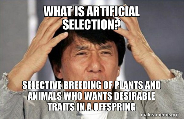 What is artificial selection? Selective breeding of plants and animals ...